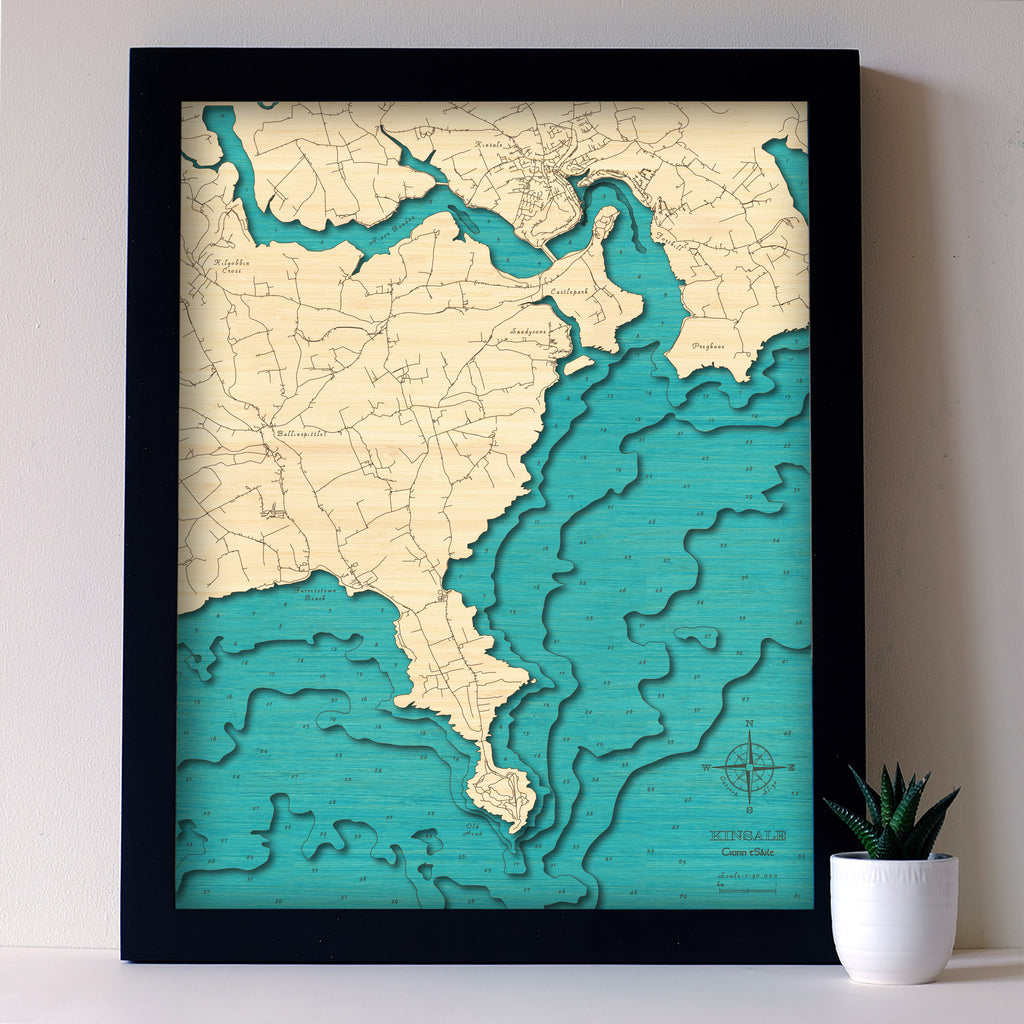 Kinsale 3d map Medium